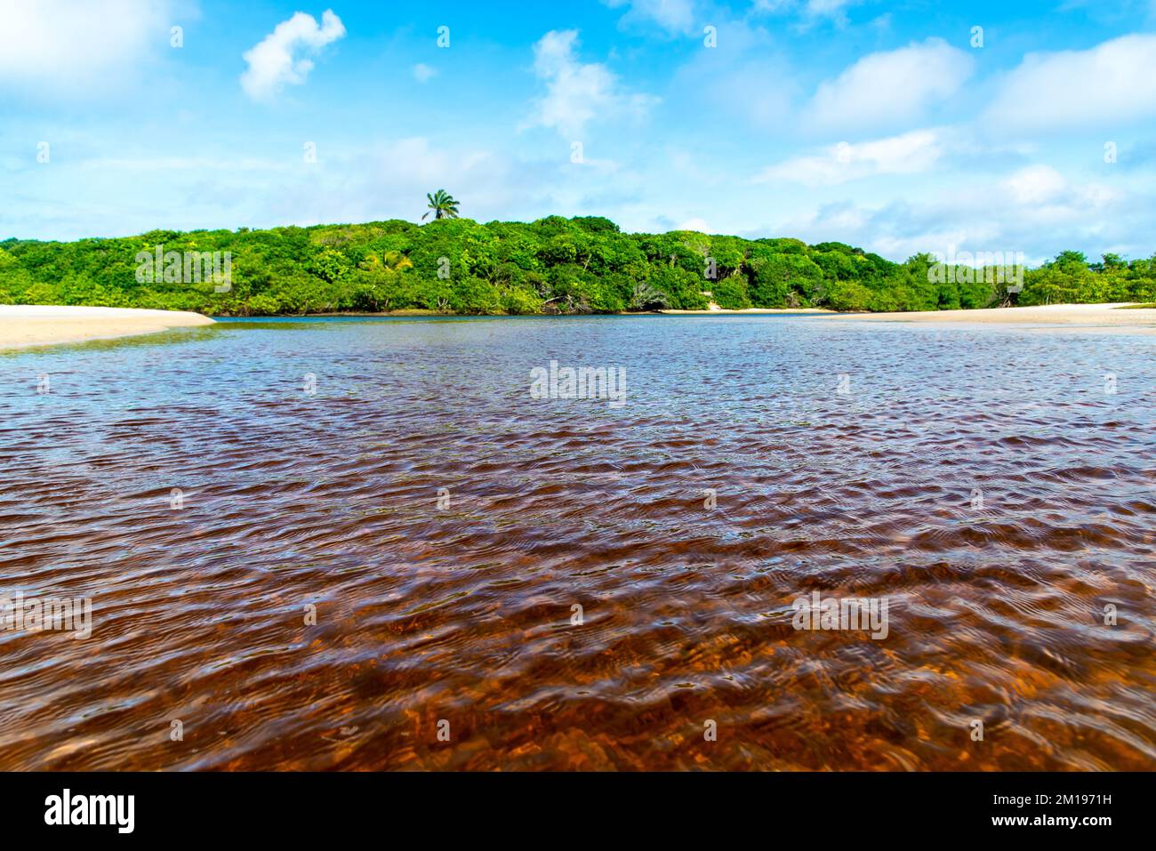 Reddish water of a sea against the blue sky. Guaibim sandy beach ...