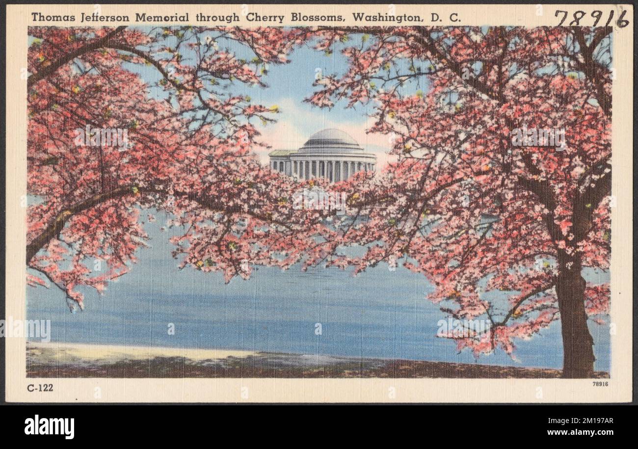 Thomas Jefferson Memorial through cherry blossoms, Washington, D. C ...
