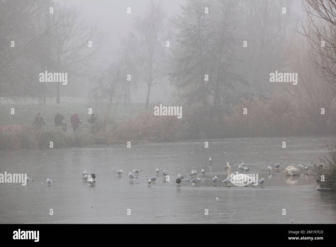 London, UK, 11 December 2022: Freezing temperatures have brought thick ...
