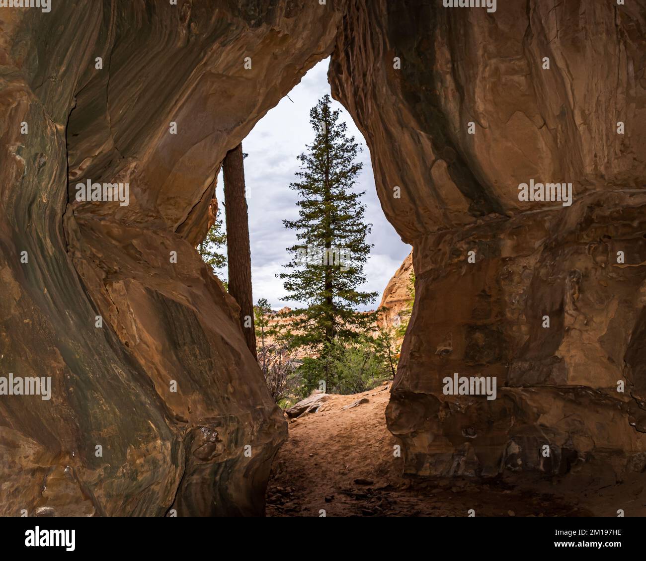 Single cave hi-res stock photography and images - Alamy
