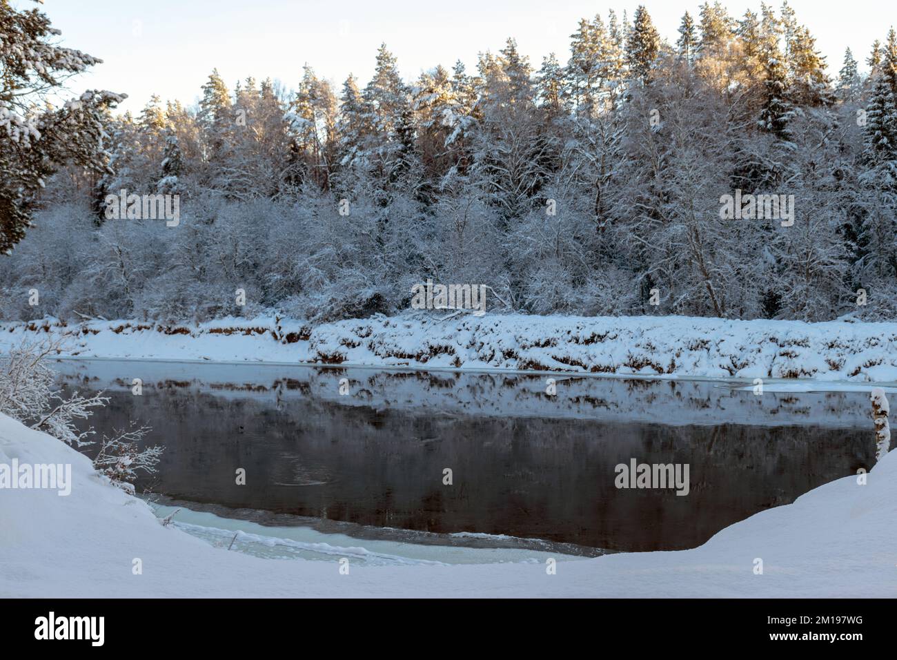 December's dreamy frosty morning. Beautiful winter cold landscape in ...