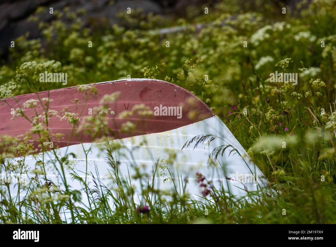 A wooden boat on the ground surrounded with green grass and flowers ...