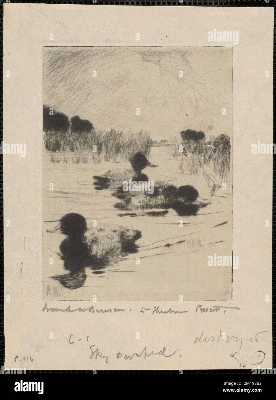Three ducks , Ducks, Bodies of water. Frank W. Benson (1862-1951 ...