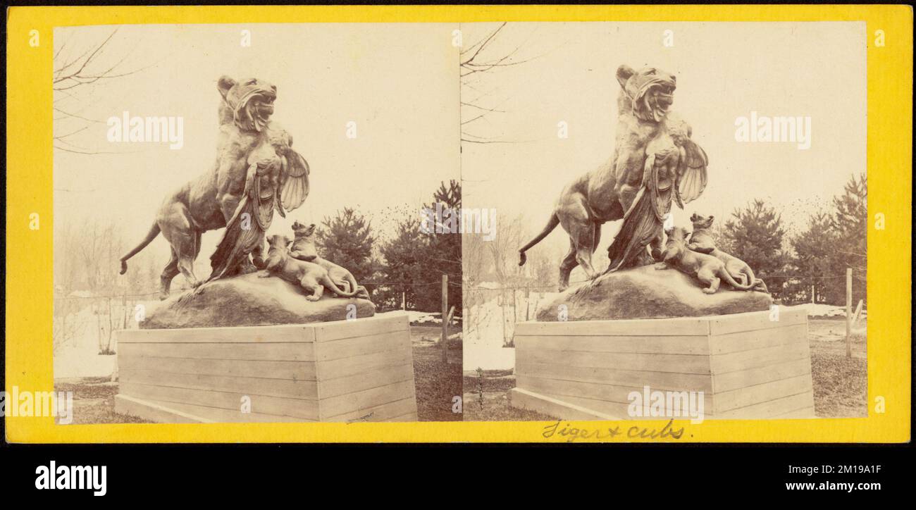 The tiger and cubs. -Statue , Parks, Monuments & memorials Stock Photo ...