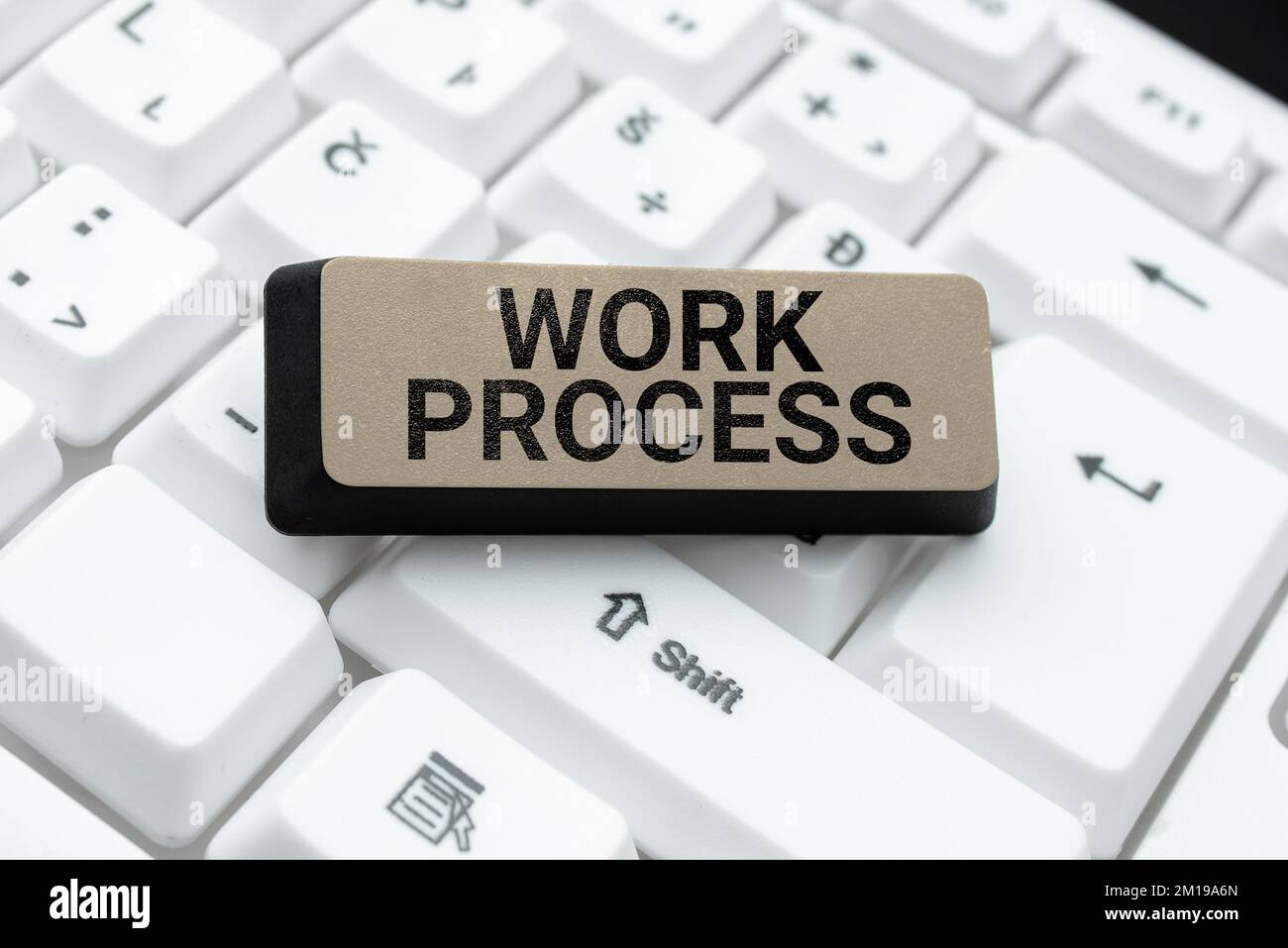 Conceptual display Work Process. Business overview Standard procedures ...