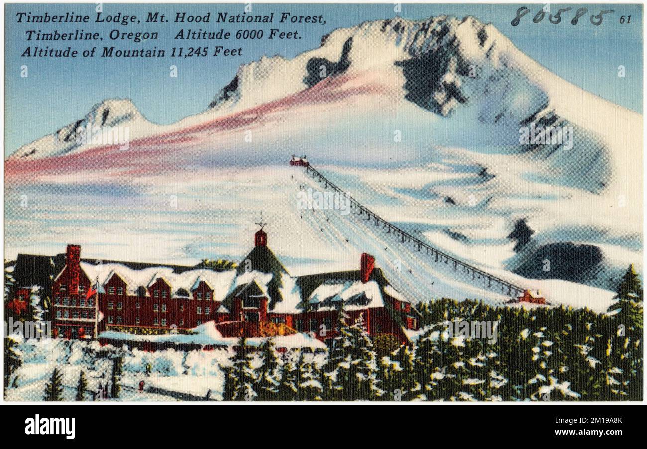 Timberline Lodge Logo