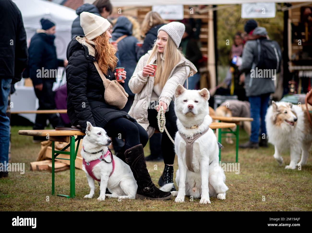 Bremen, Germany. 11th Dec, 2022. Anna (l) and Johanna sit with their ...