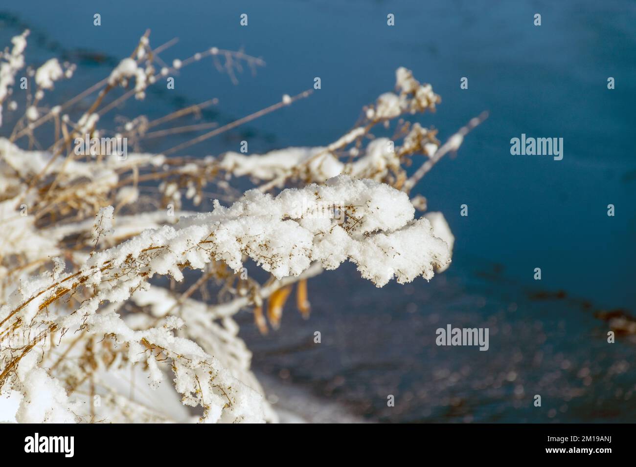 December's dreamy frosty morning. Beautiful winter cold landscape in ...