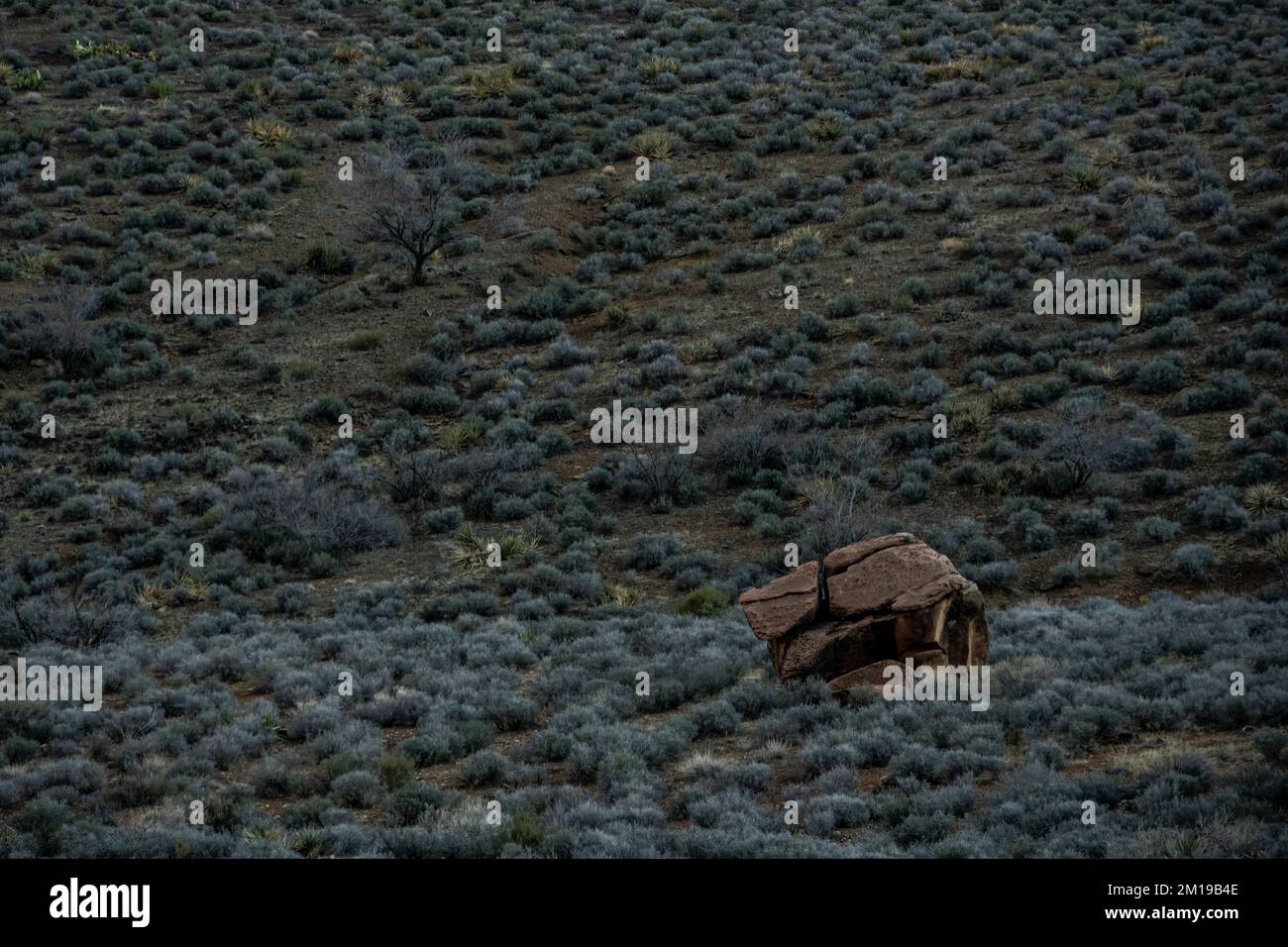 Single Large Boulder Sits In Field of Sage in the Grand Canyon along ...