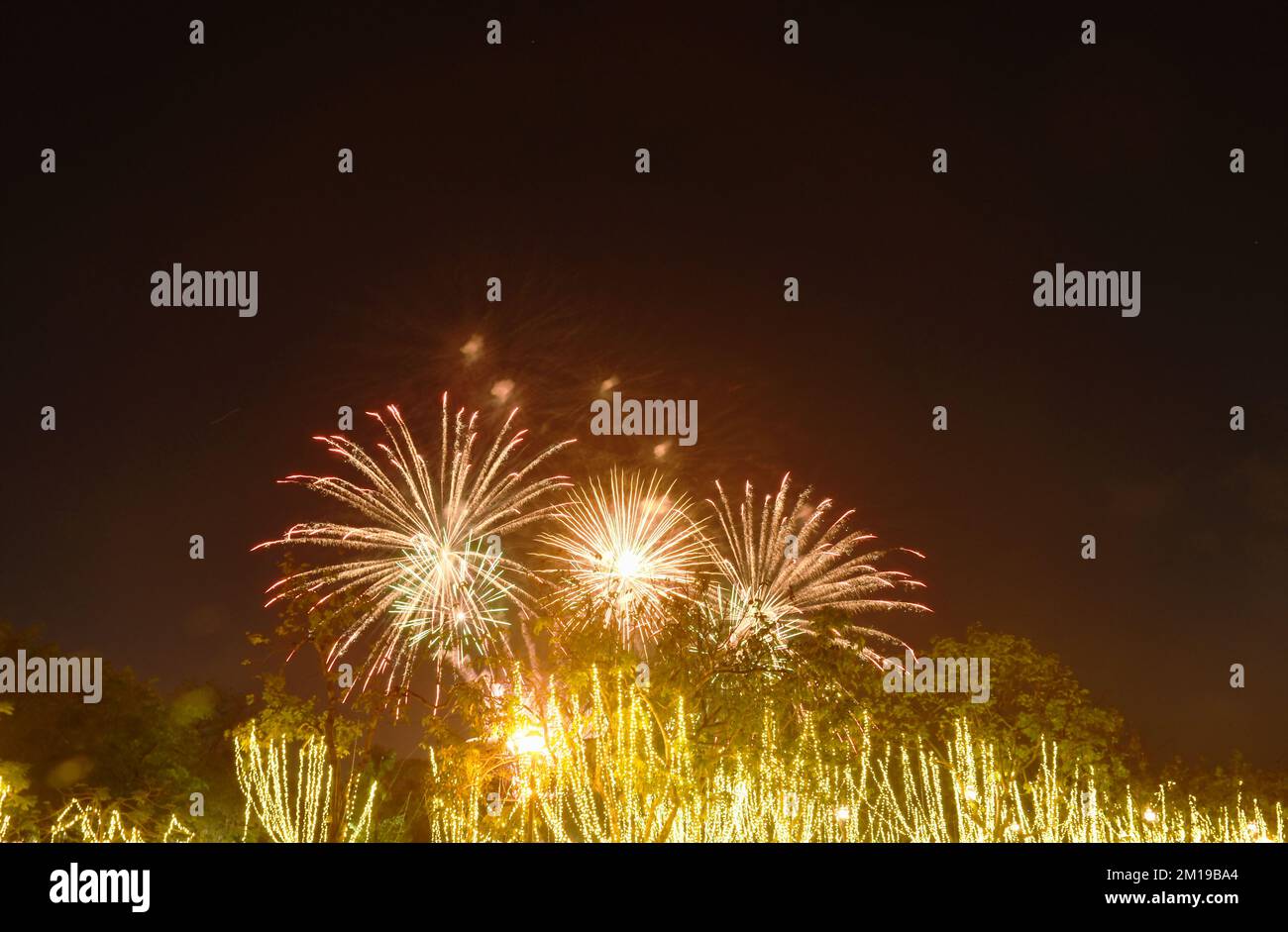 fireworks explosive on dark sky in night Stock Photo - Alamy