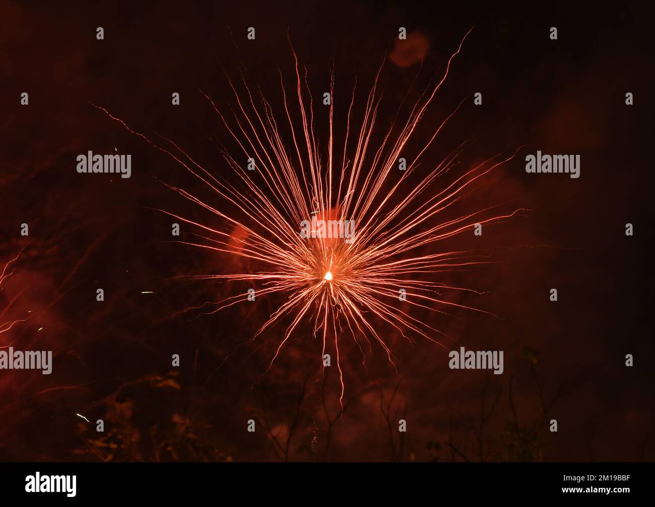 fireworks explosive on dark sky in night Stock Photo - Alamy