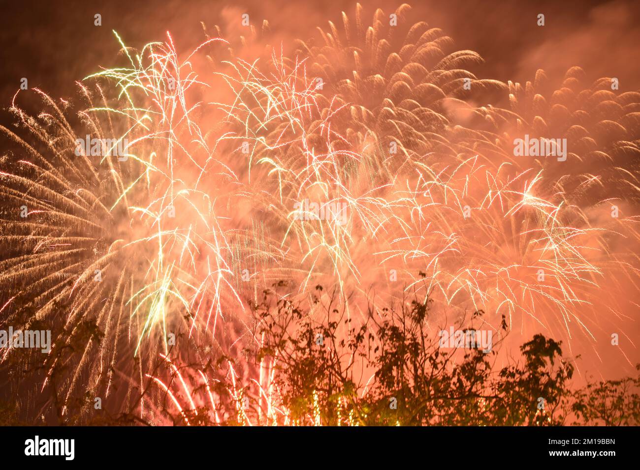 fireworks explosive on dark sky in night Stock Photo - Alamy