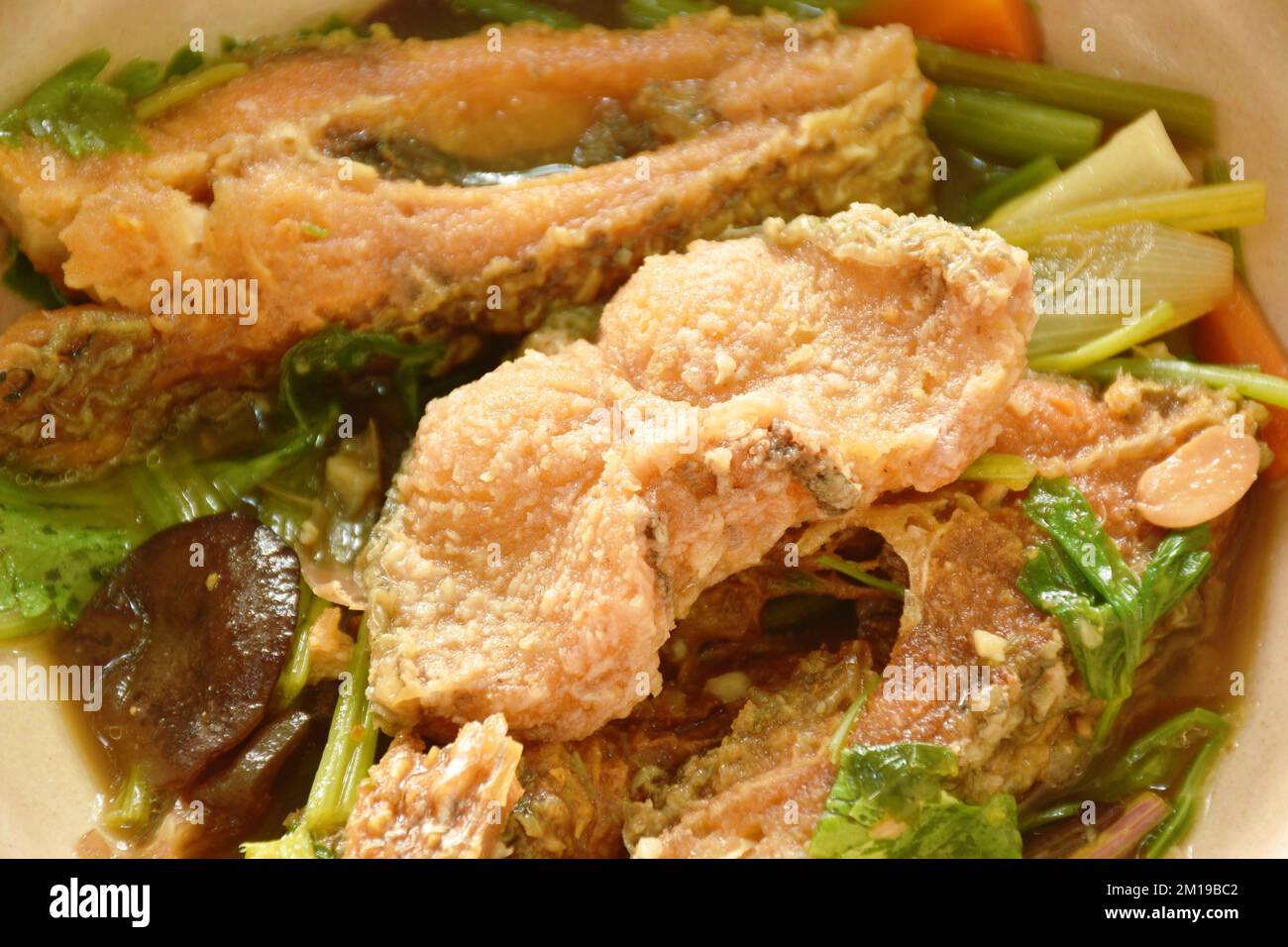 Snakehead fish hi-res stock photography and images - Alamy