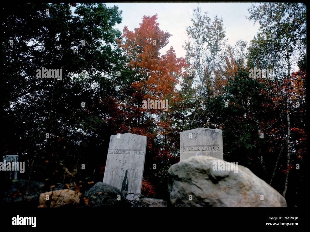 Tombstones of Makenzie W. Brown and Sarah Jane Brown, French Cemetery ...