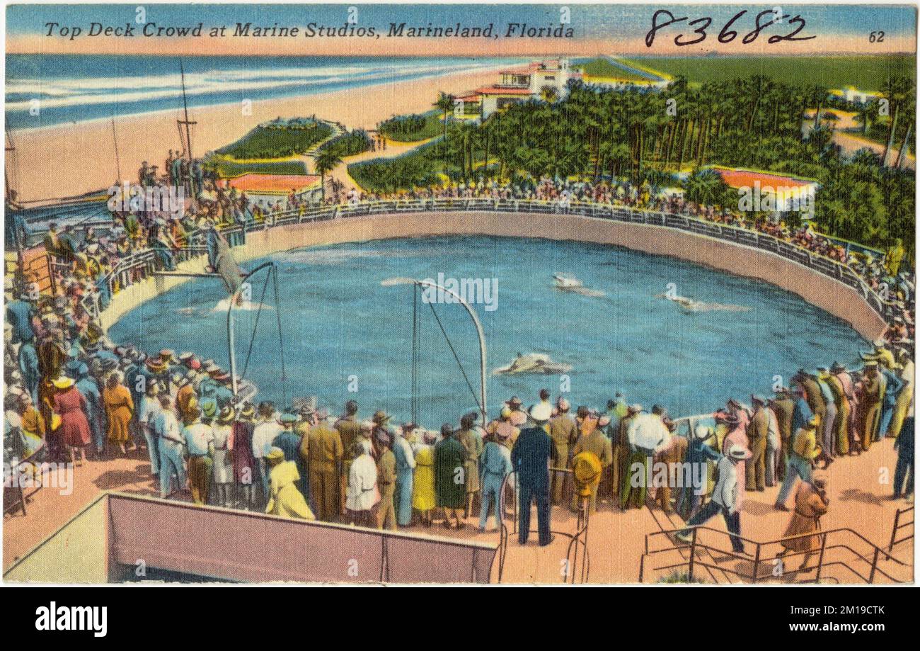 Top deck crowd at Marine Studios, Marineland, Florida , Sports ...