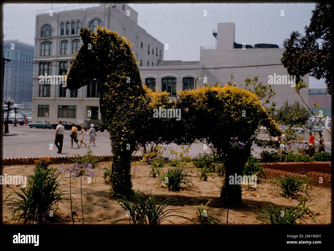 Topiary horse, El Pueblo de Los Angeles , Topiary work, Horses. Edmund ...