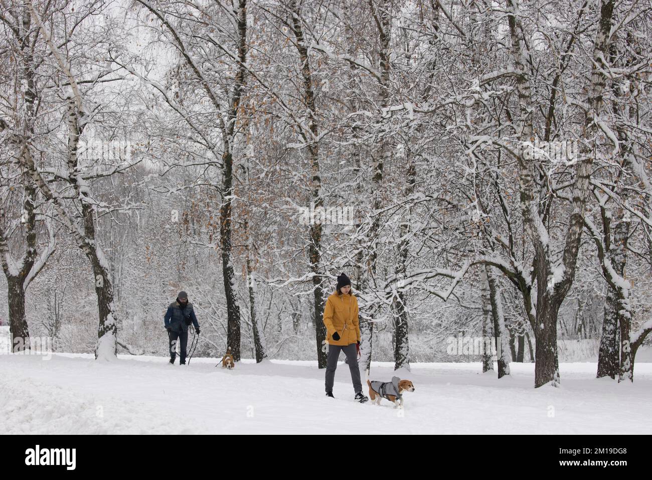 Moscow russia december people walk hi-res stock photography and images ...