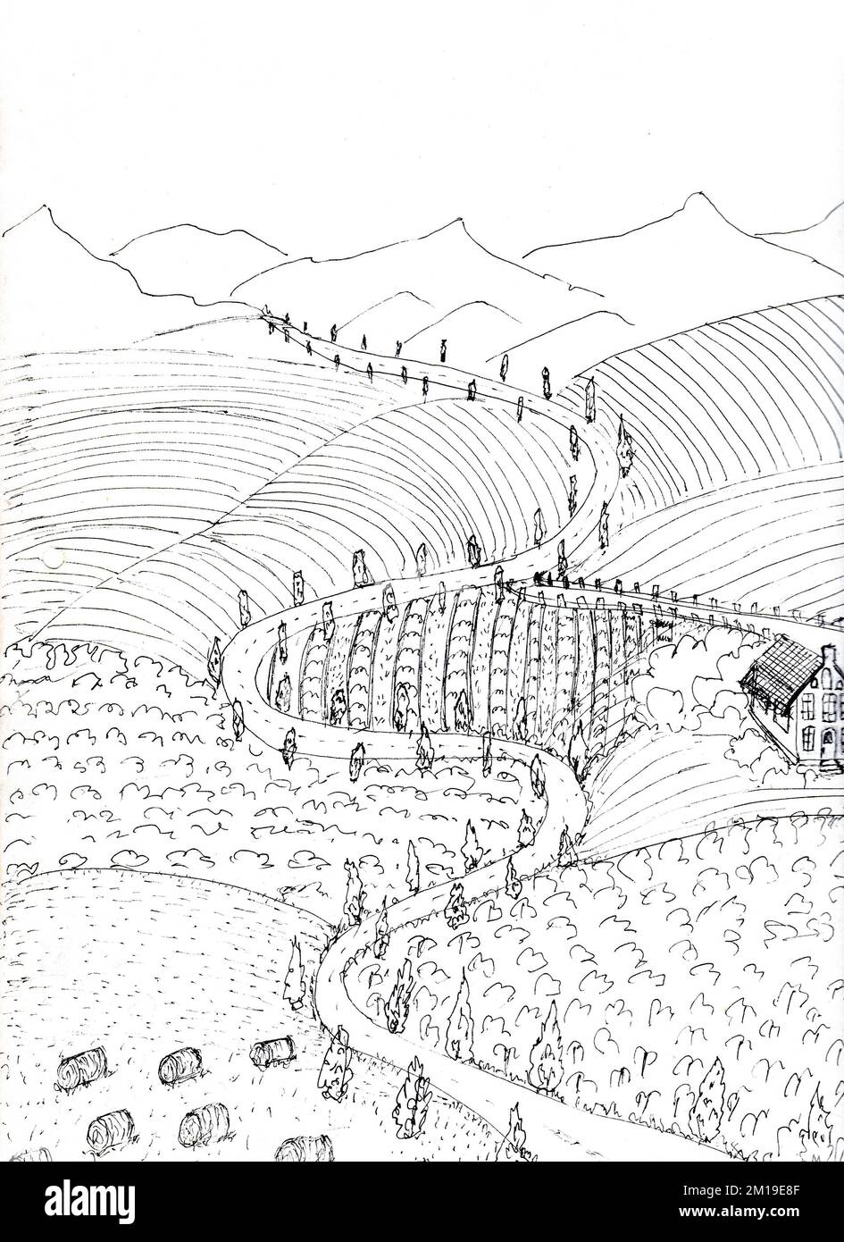 Landscape nature Tuscany, Provence top view. Drawing coloring with a ...