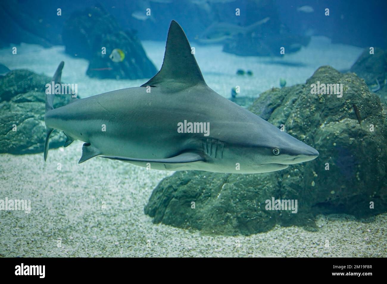 Salt water grey background hi-res stock photography and images - Alamy