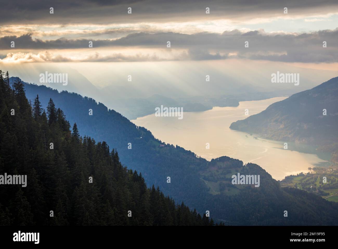 Aerial view of Swiss Alps and Lake Thun at dramatic sunset, Interlaken ...