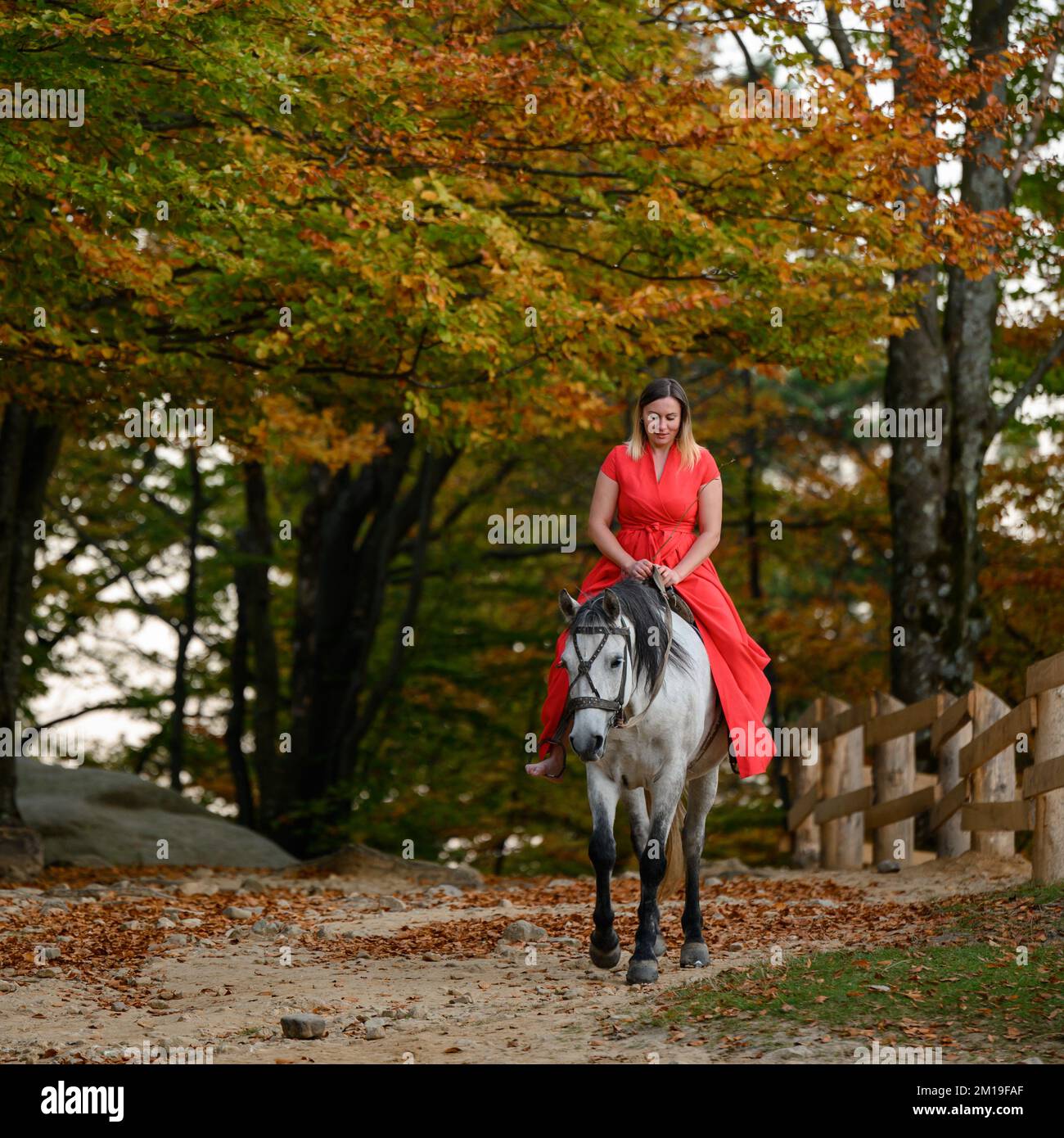 A woman in a red dress sits on a horse, an autumn walk in the forest ...