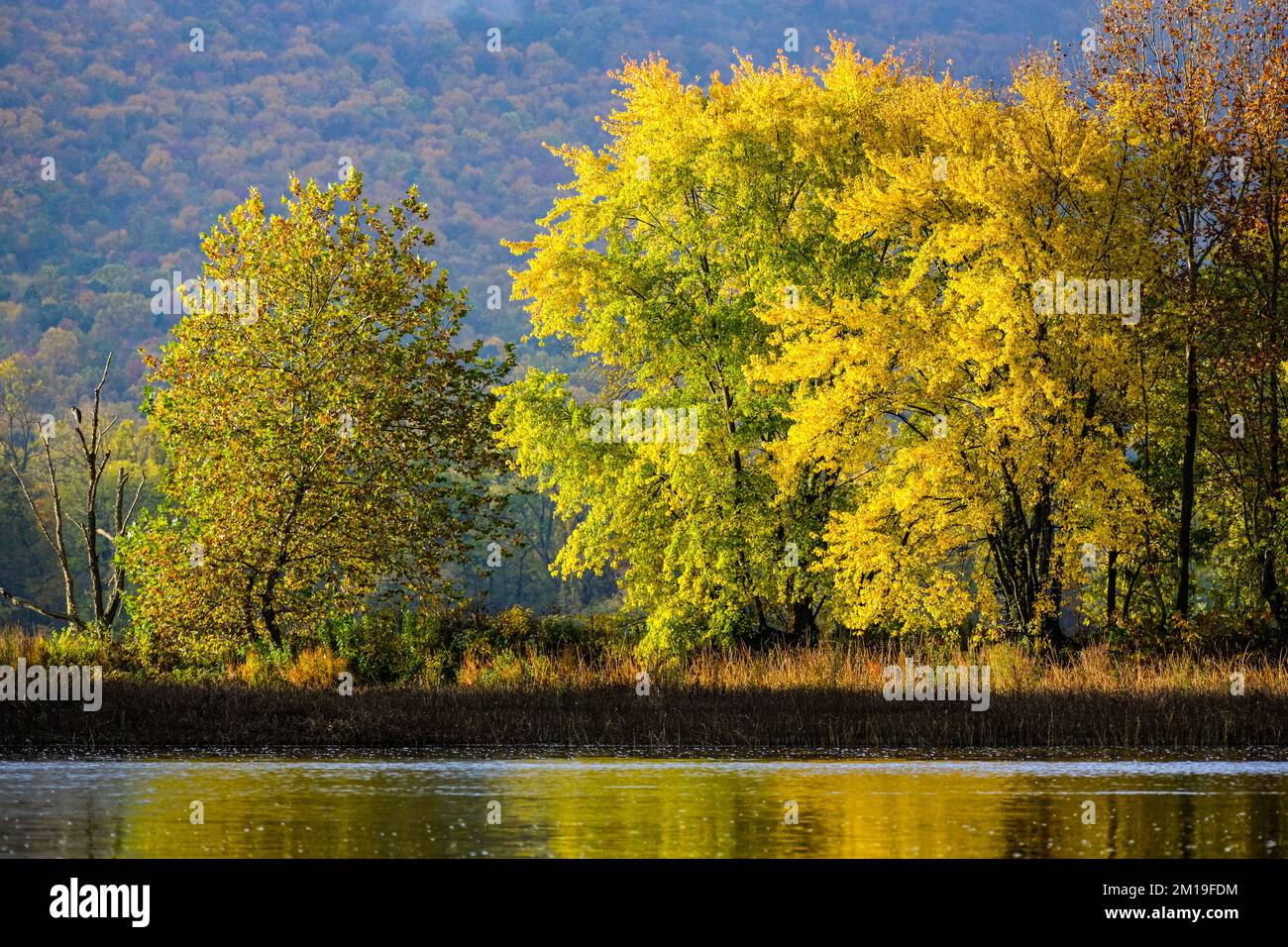 Atlantic region hi-res stock photography and images - Alamy