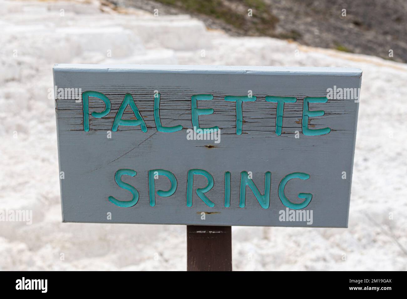Palette Spring travertine terraces at Mommoth Hot Springs in ...