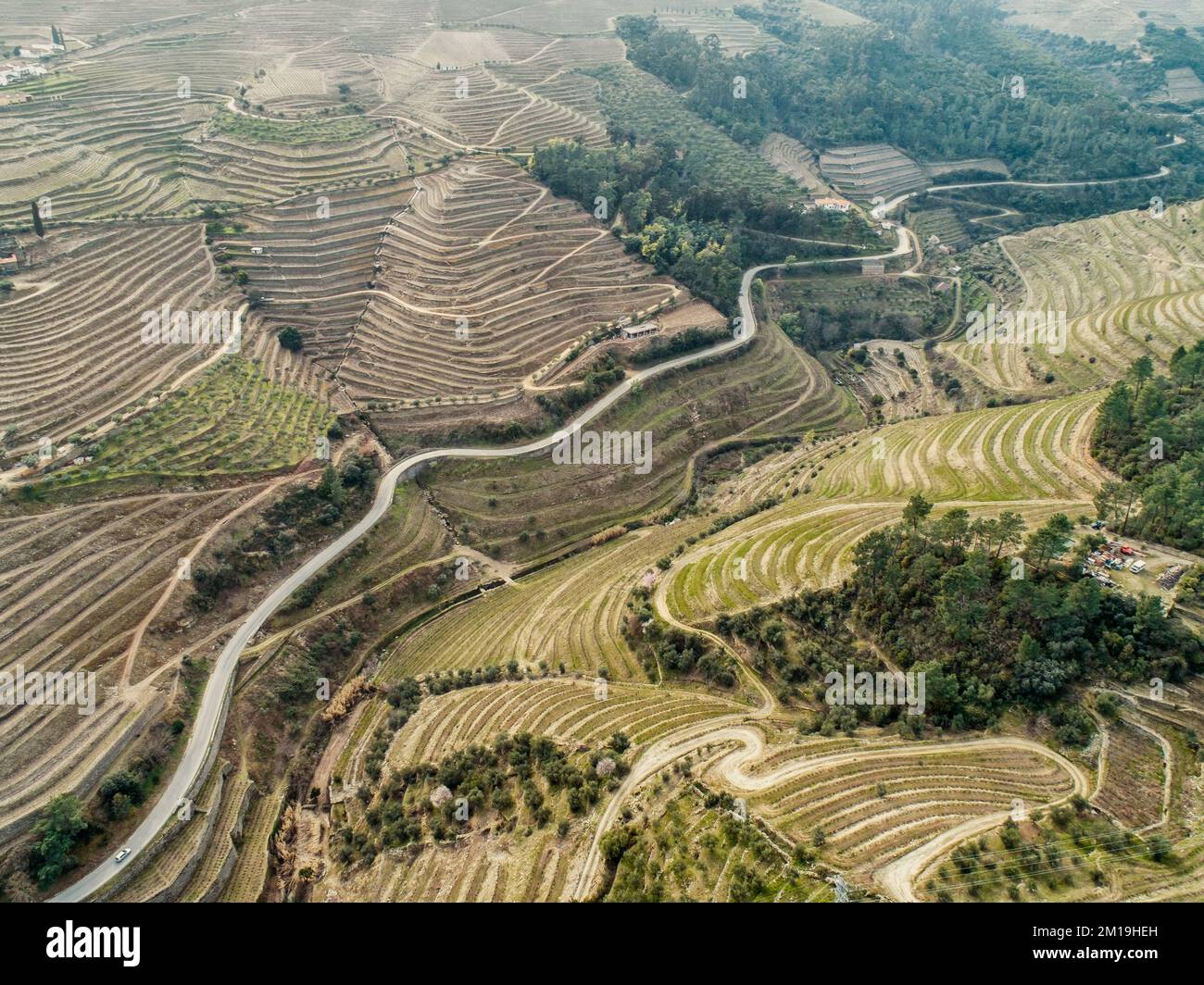 Aerial view beautiful vineyards on hi-res stock photography and images ...