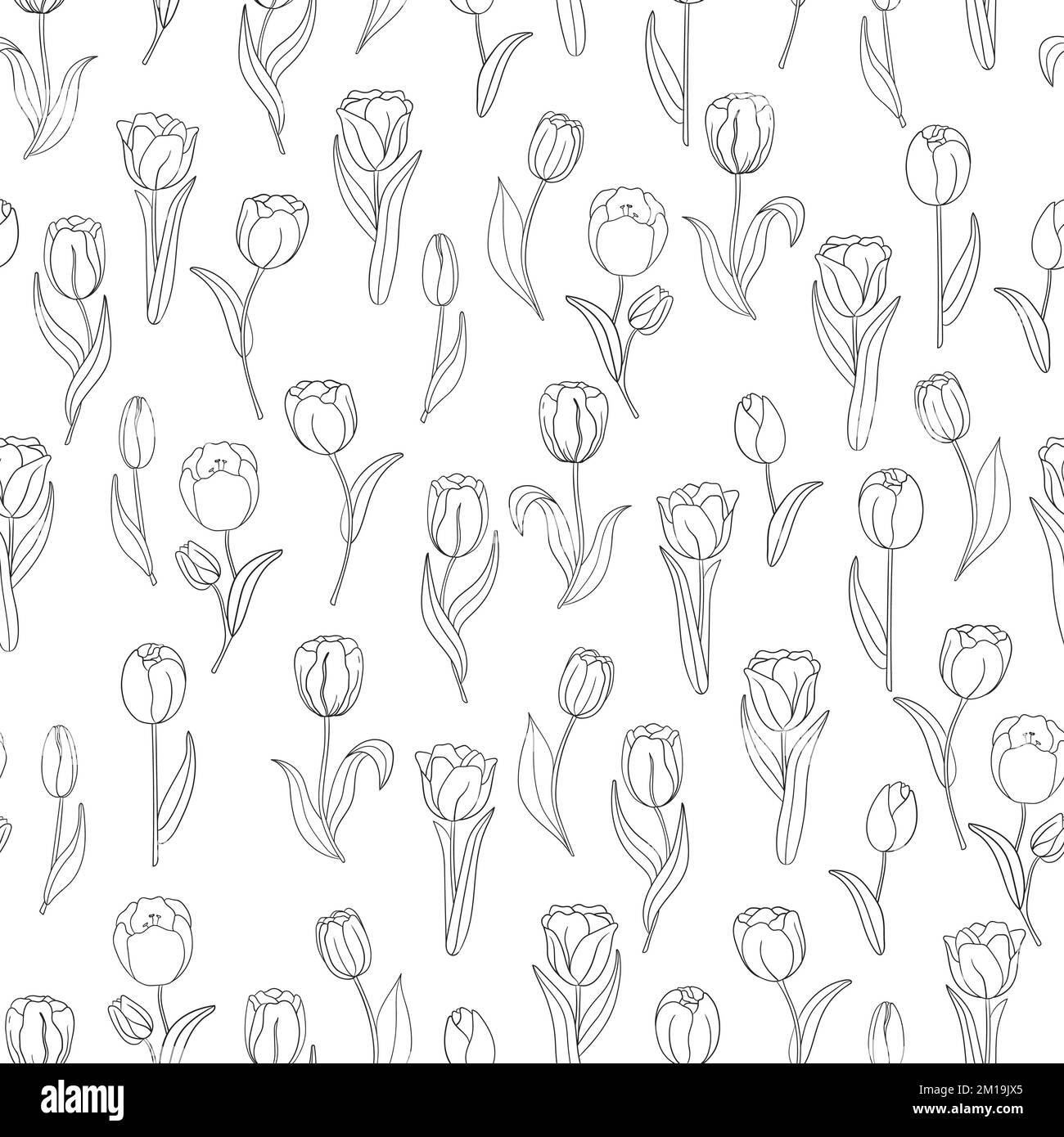 Black white drawing tulips hi-res stock photography and images - Alamy