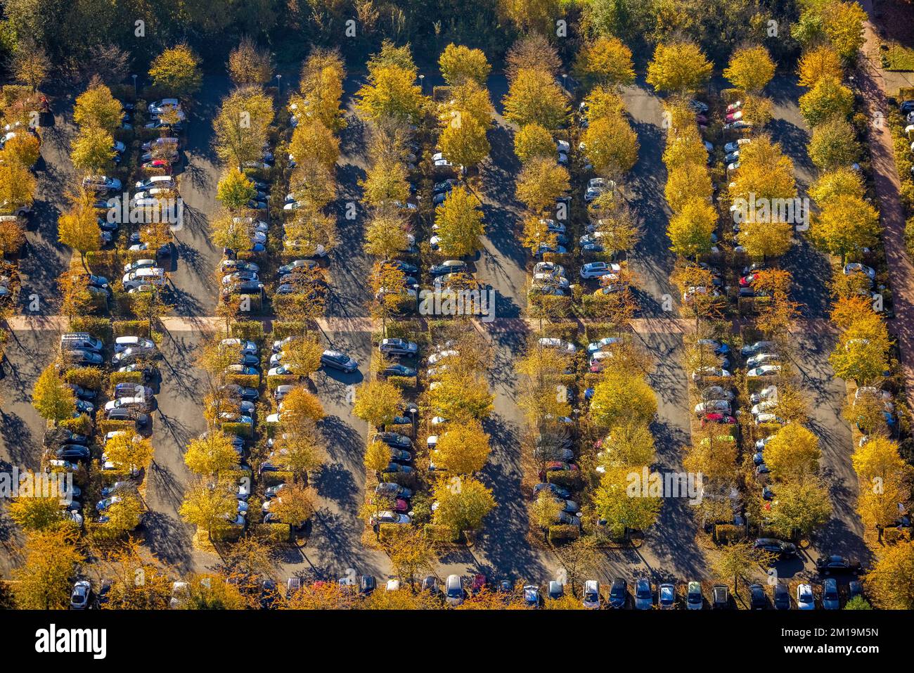 Regional birds series hi-res stock photography and images - Alamy