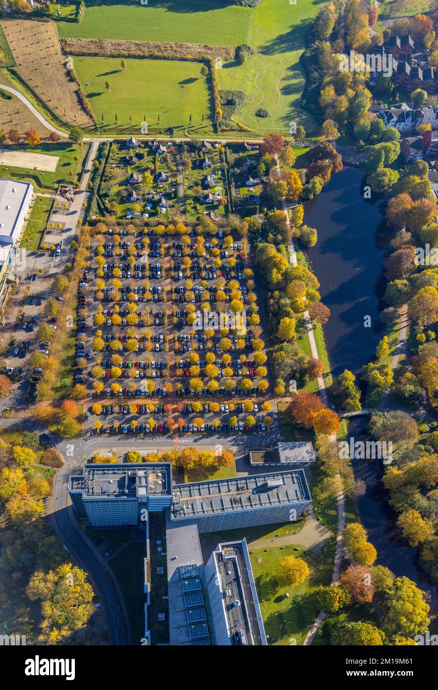 Lots of trees hi-res stock photography and images - Alamy