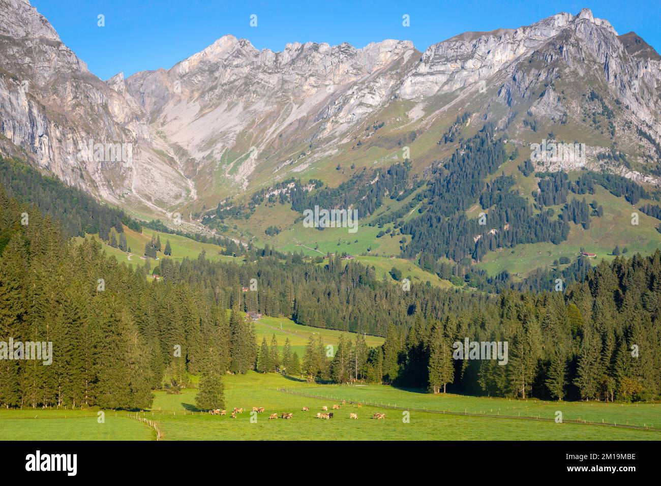 Dramatic landscape of swiss alps in Engelberg, Obwalden, Switzerland ...
