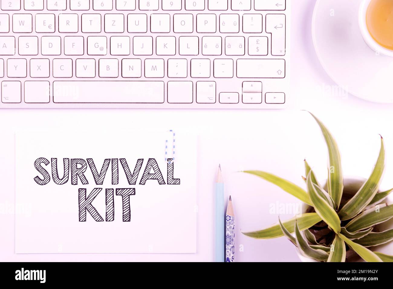 Text showing inspiration Survival Kit. Business idea Emergency ...