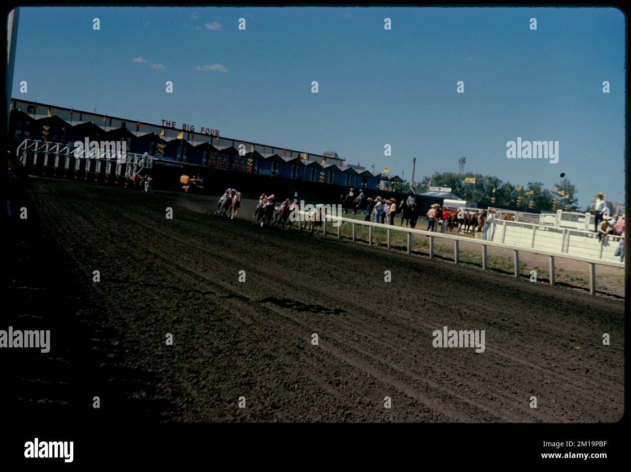 Equine action alberta hi-res stock photography and images - Alamy