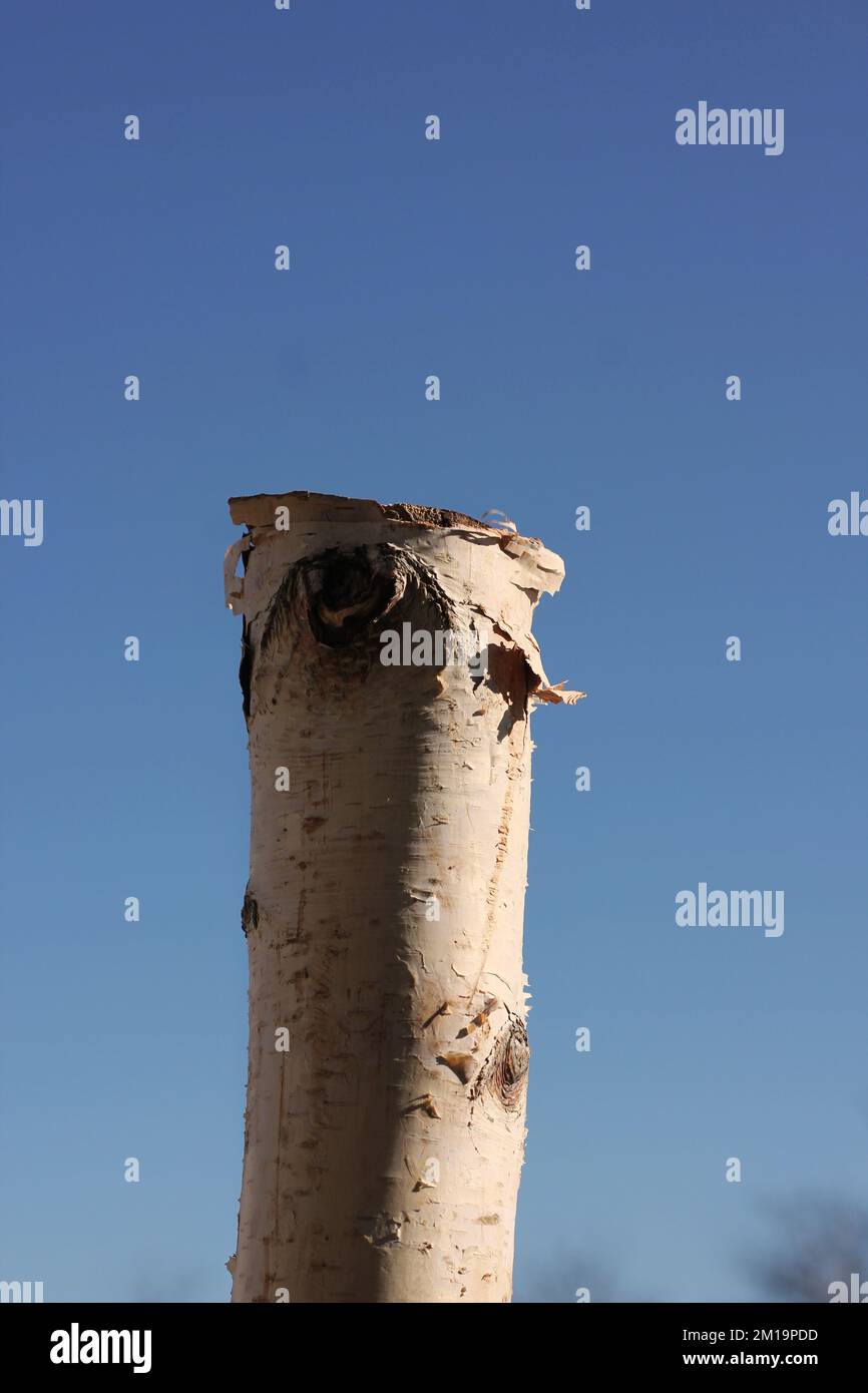Minimalist view of a simple wooden post standing against a clear blue ...