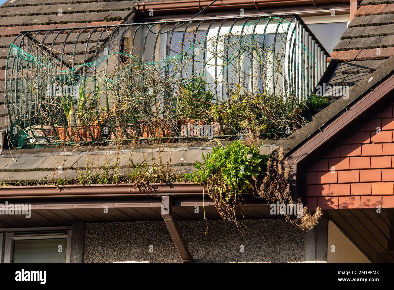 colors of fall, autumn scenery, colorful autumn is coming Stock Photo ...