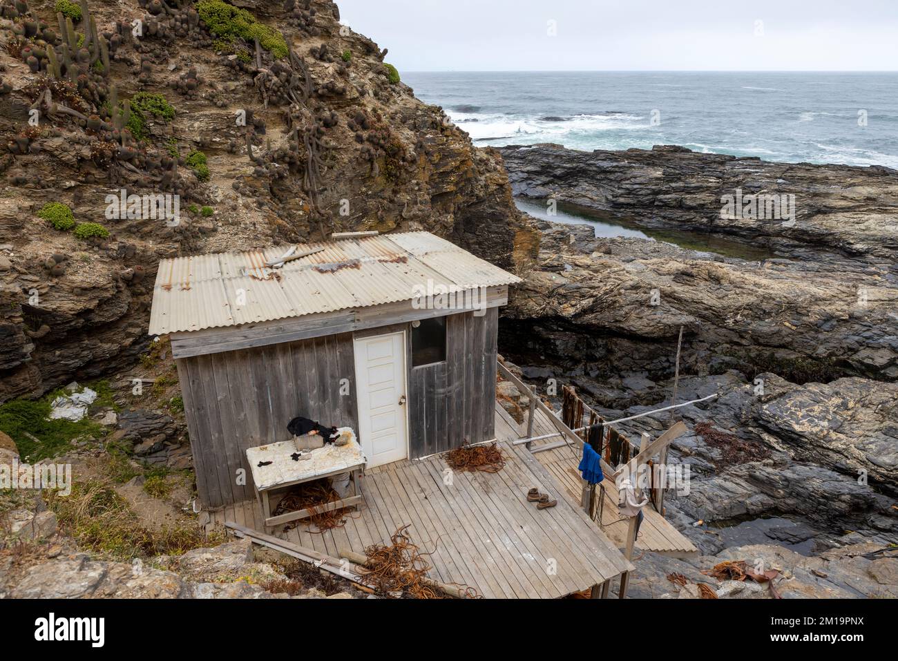 Shack at the rough coast of Pichilemu, Chile Stock Photo - Alamy