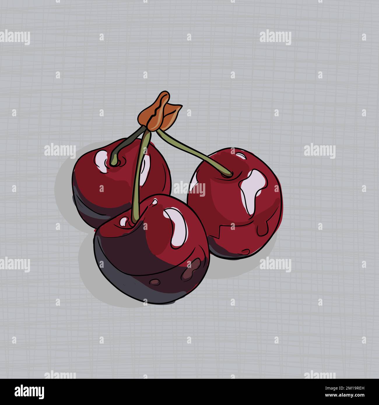 Cherries sketch hi-res stock photography and images - Alamy