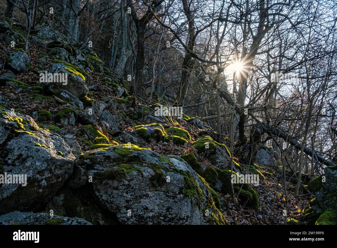 Sitno hill, Stiavnica Mountains forest, Slovak republic. Seasonal ...