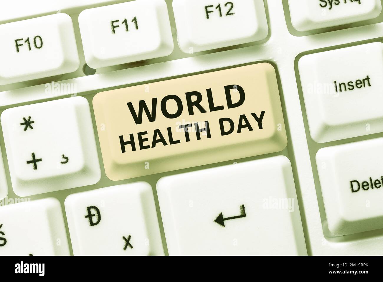 Sign displaying World Health Day. Business idea Global health awareness ...