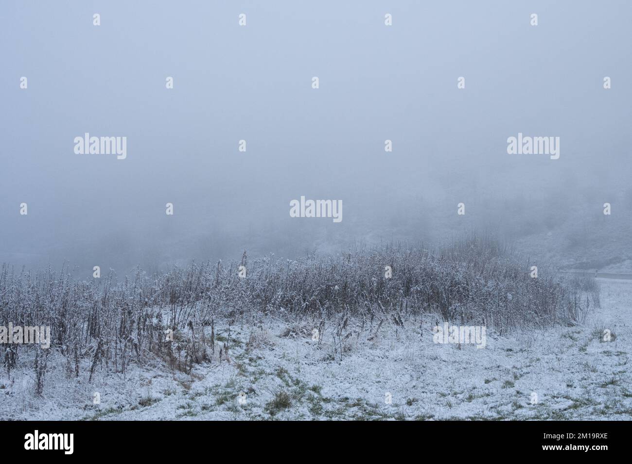 Storey Arms, Brecon Beacons, South Wales, UK. 8 December 2022. UK ...