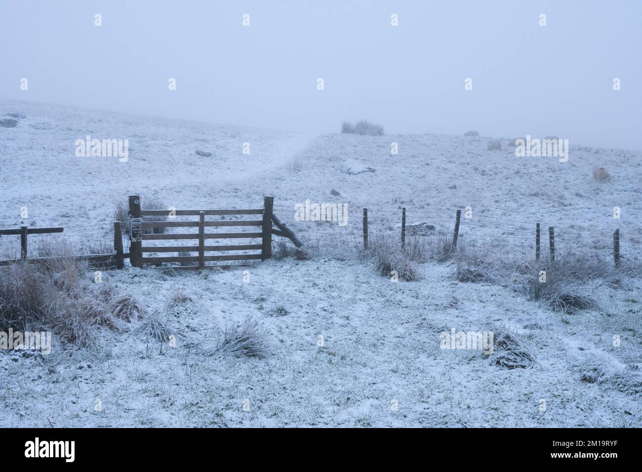 Storey Arms, Brecon Beacons, South Wales, UK. 8 December 2022. UK ...