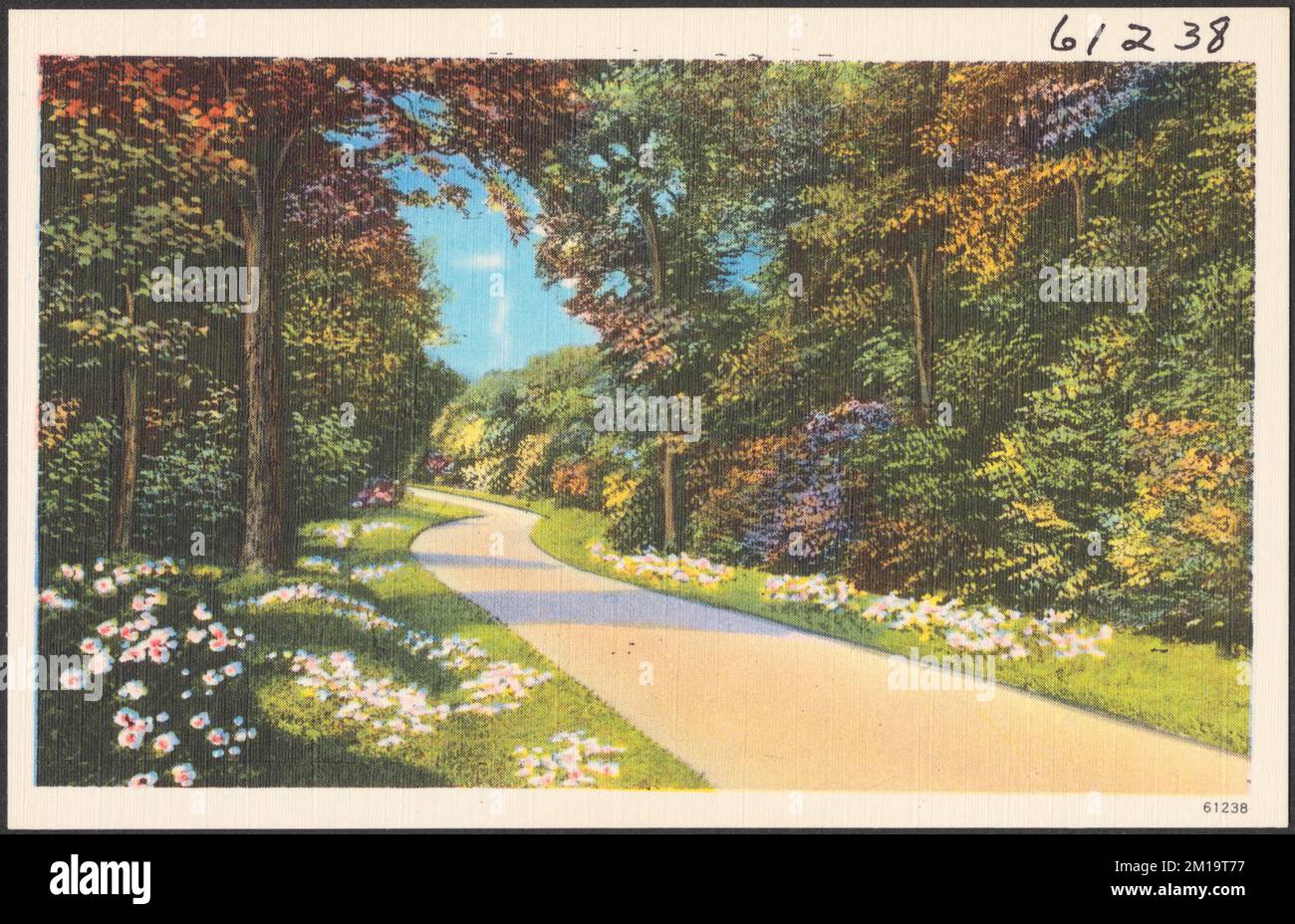 Tree and flower-lined road , Roads, Trees, Flowers, Tichnor Brothers ...
