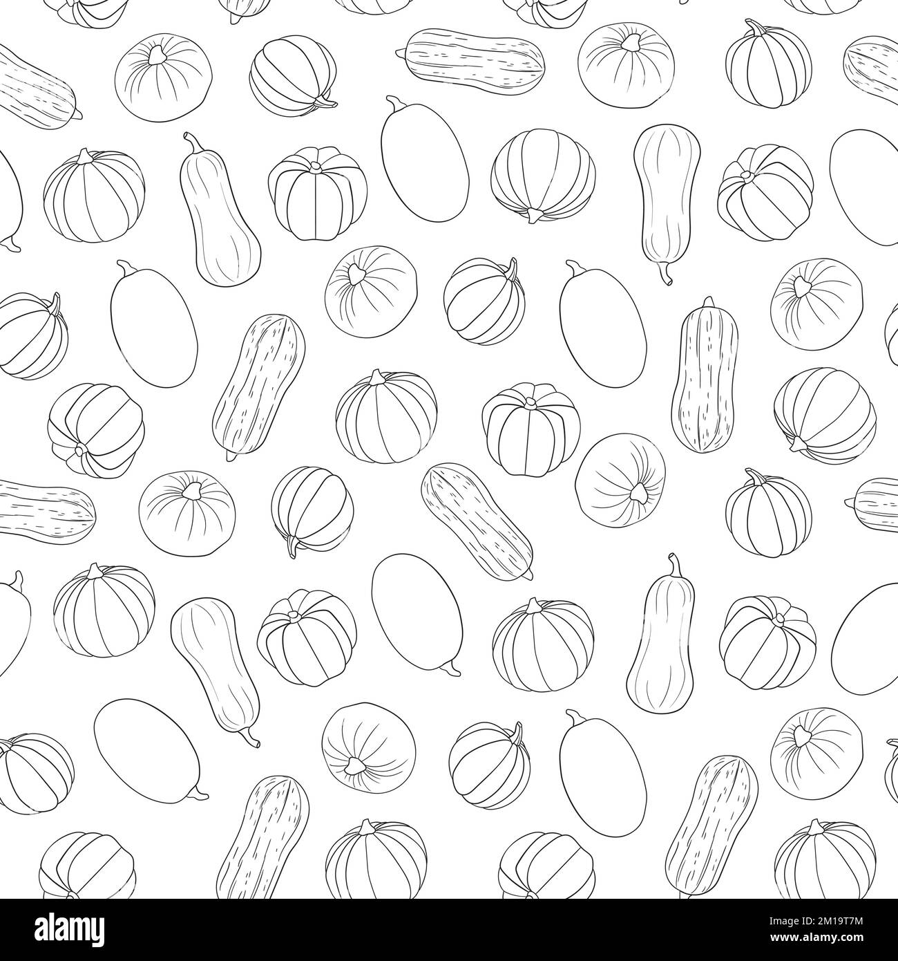 Cartoon squash autumn pumpkin Black and White Stock Photos & Images - Alamy