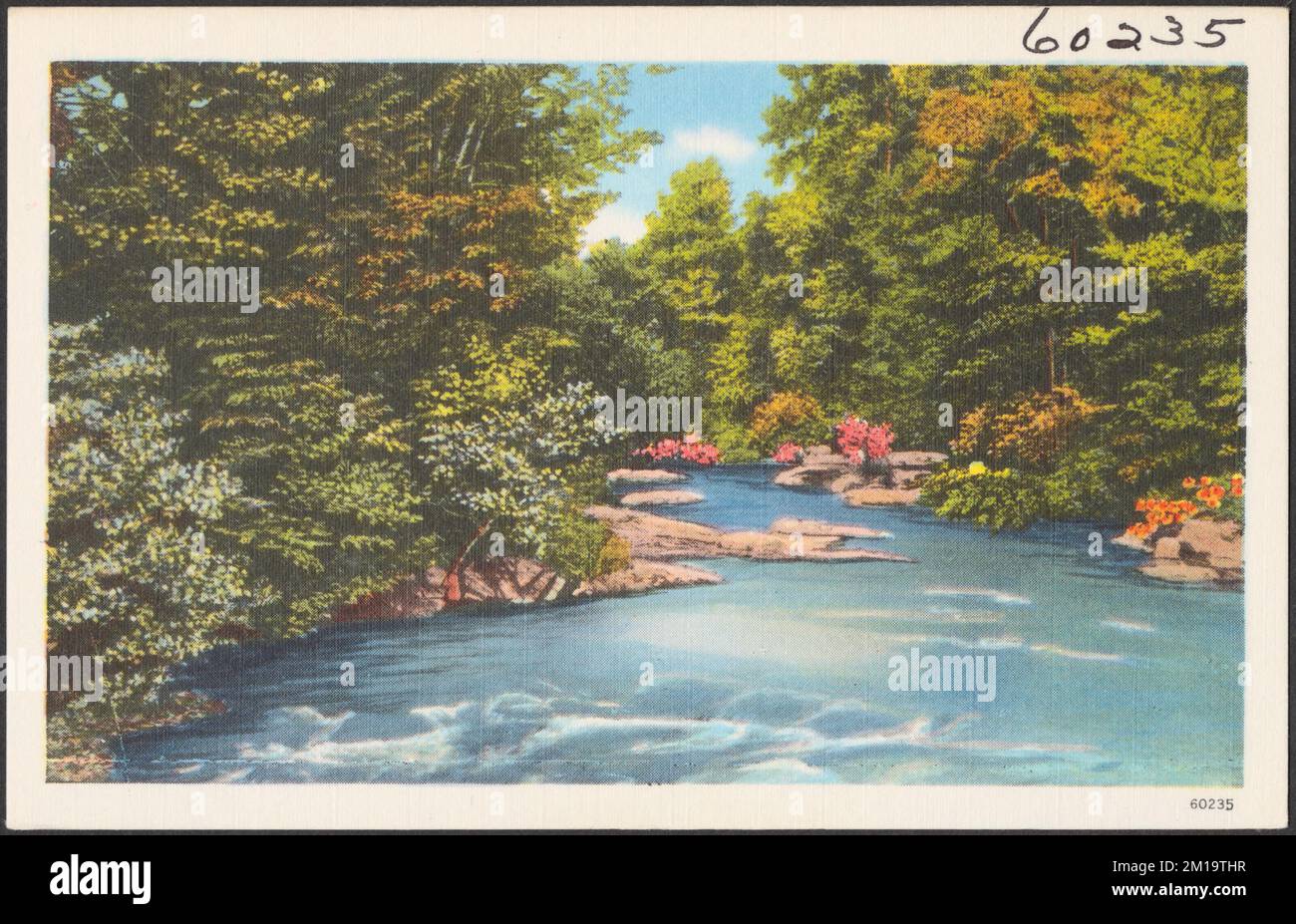 Tree-lined river , Trees, Rivers, Tichnor Brothers Collection ...