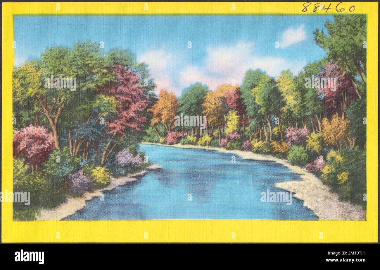 Tree-lined river , Trees, Rivers, Tichnor Brothers Collection ...