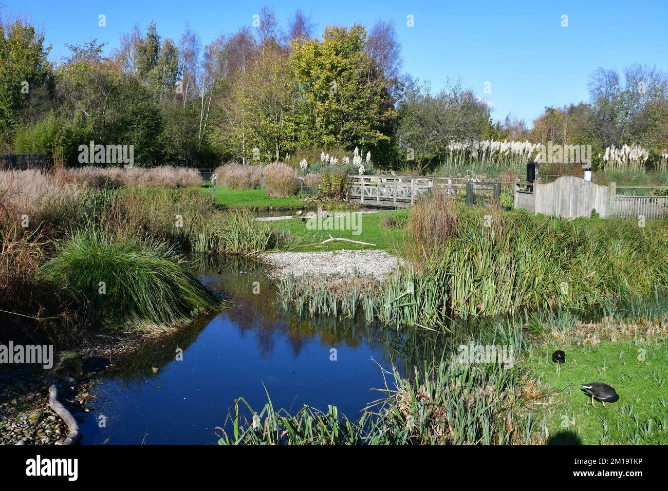 London wetland centre uk hi-res stock photography and images - Alamy