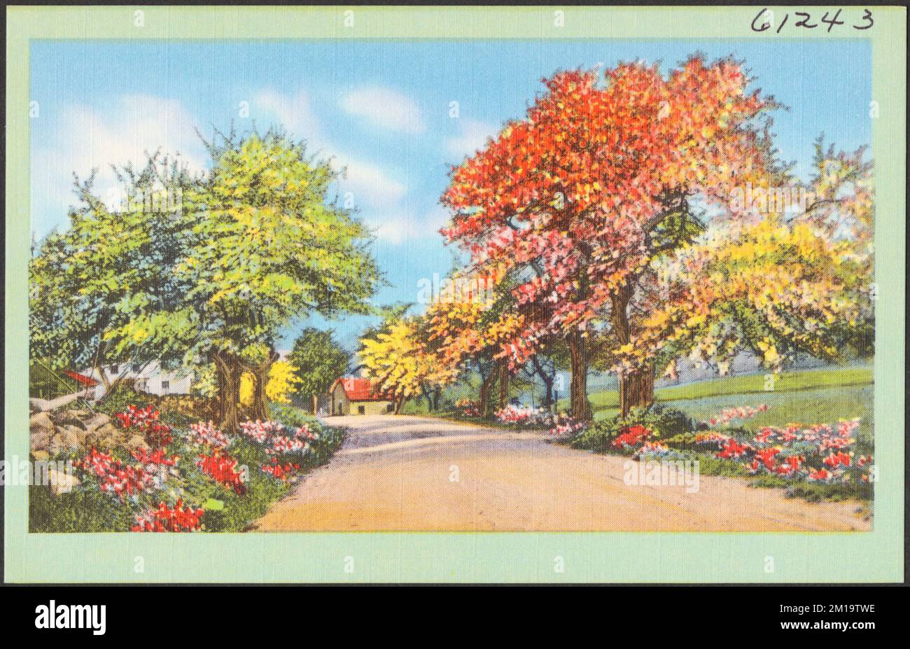Tree-lined road, buildings in background , Roads, Trees, Tichnor ...