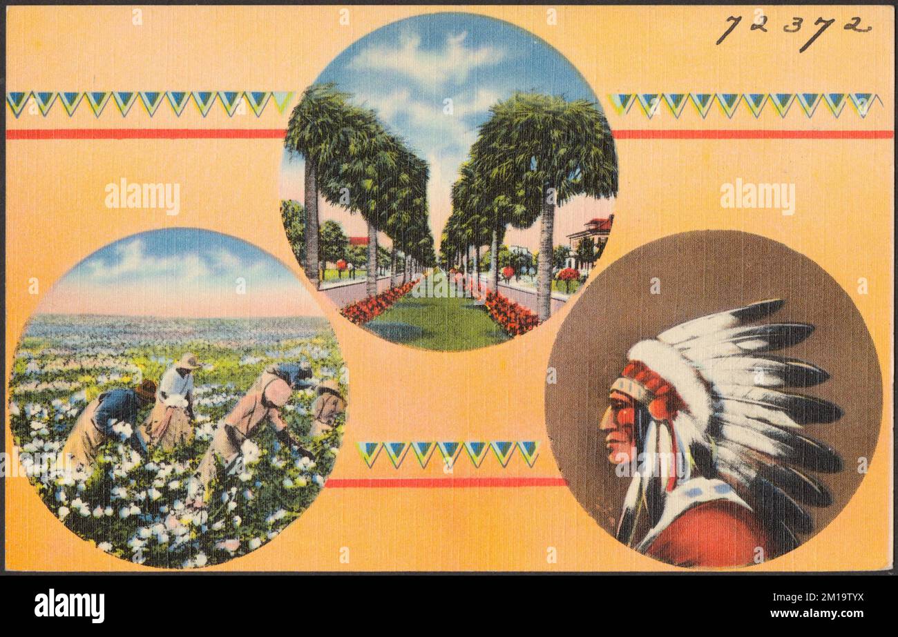 Tree-lined road. People picking cotton. A Native American man wearing ...