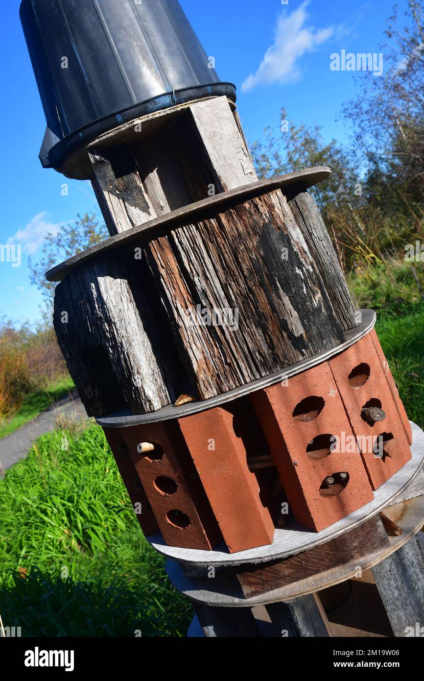 Bug house hi-res stock photography and images - Alamy